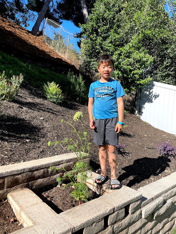 Colin the Plant Dude – Plants are the best! :)