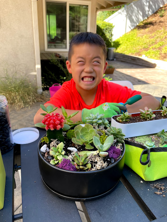 Colin the Plant Dude – Plants are the best! :)