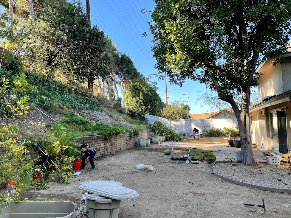 Colin the Plant Dude – Plants are the best! :)